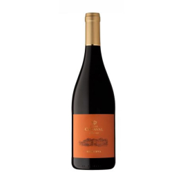 Casa Cadaval Reserva Tinto 2018 1,5Lt - Vinhos Tejo | Granvine