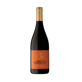 Casa Cadaval Reserva Tinto 2021 - Vinhos Tejo | Granvine